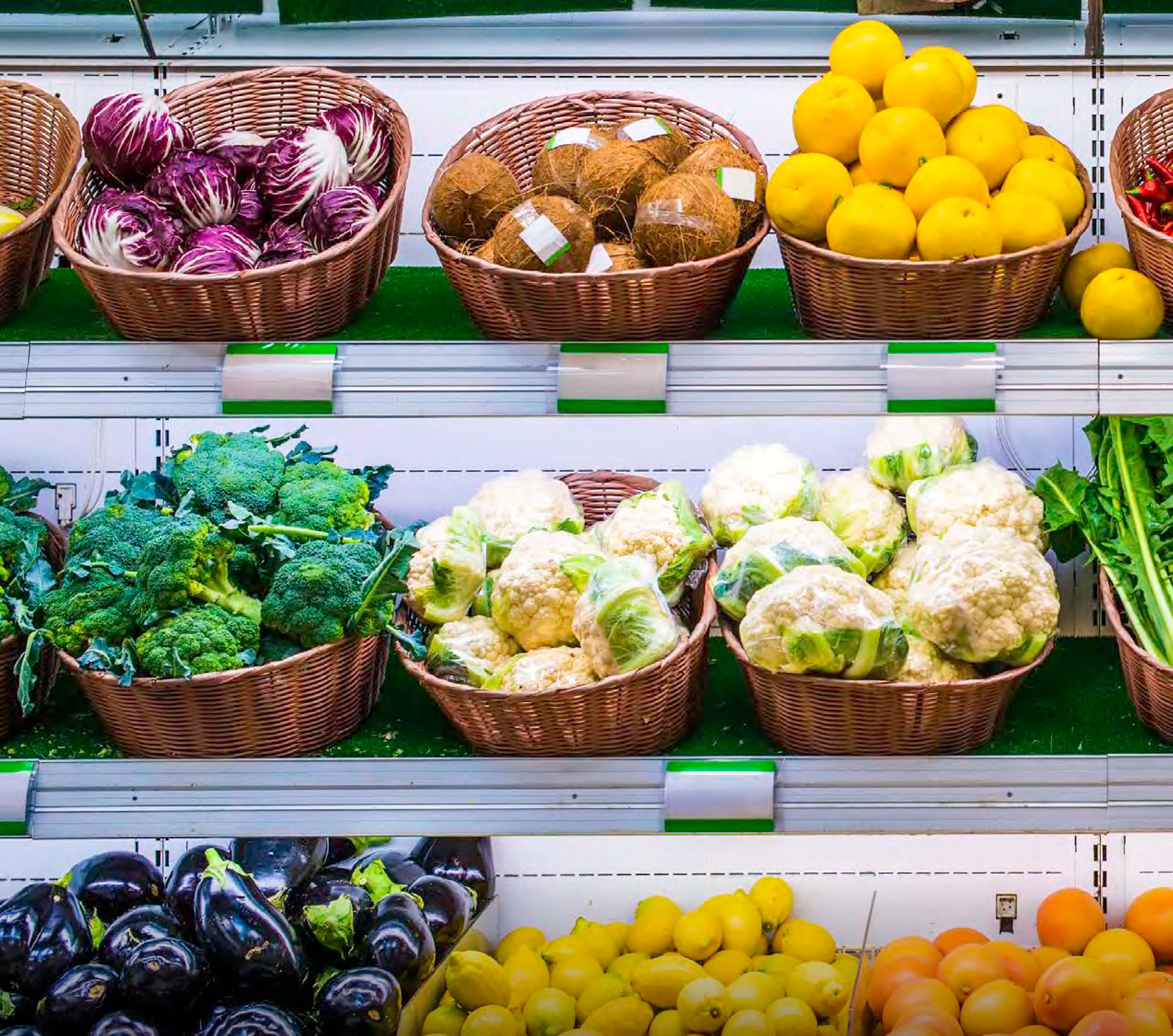 Food System Framework | Center for Agriculture & Food Systems