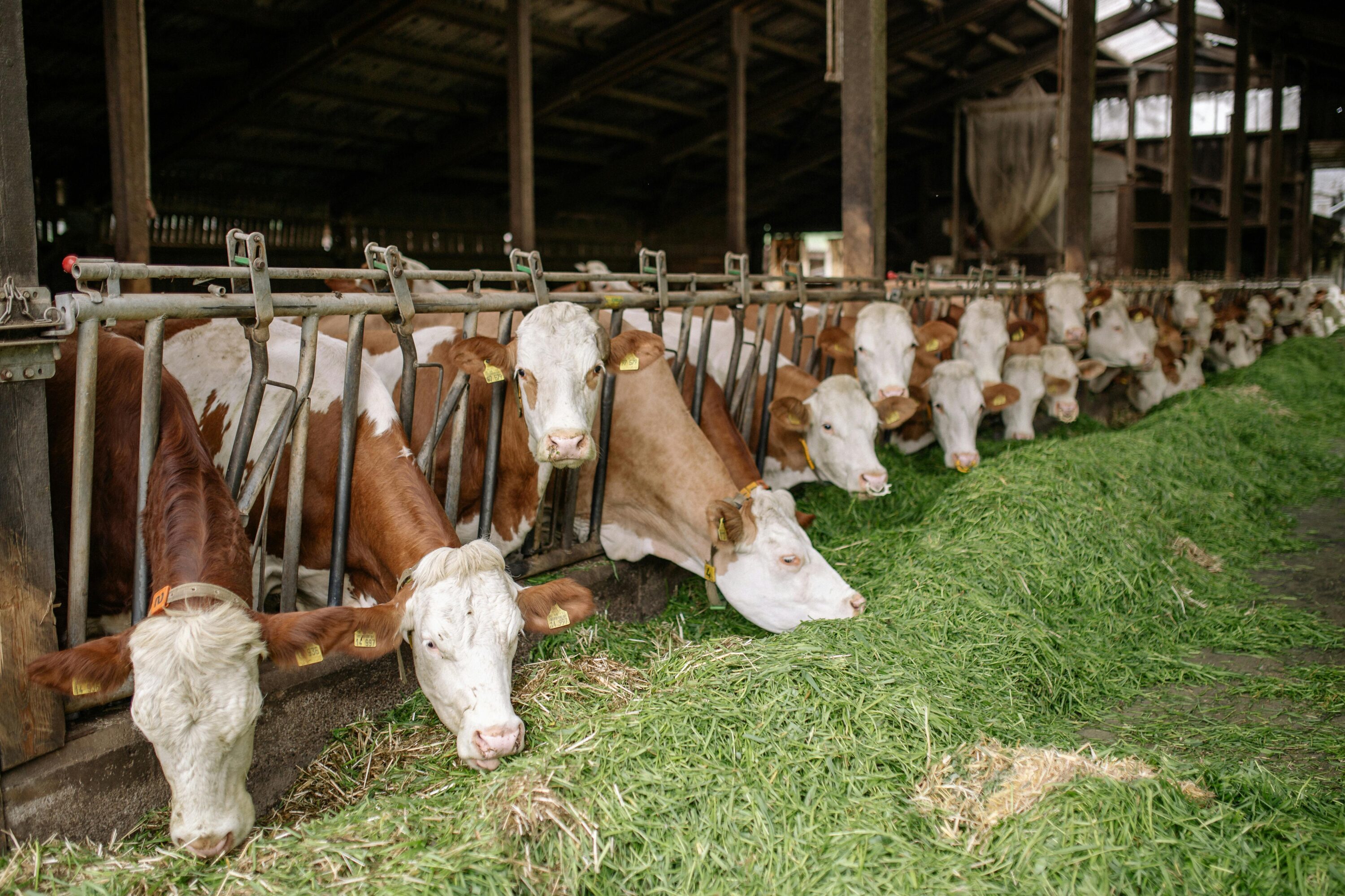 Legal Trends for Farms | Center for Agriculture and Food Systems