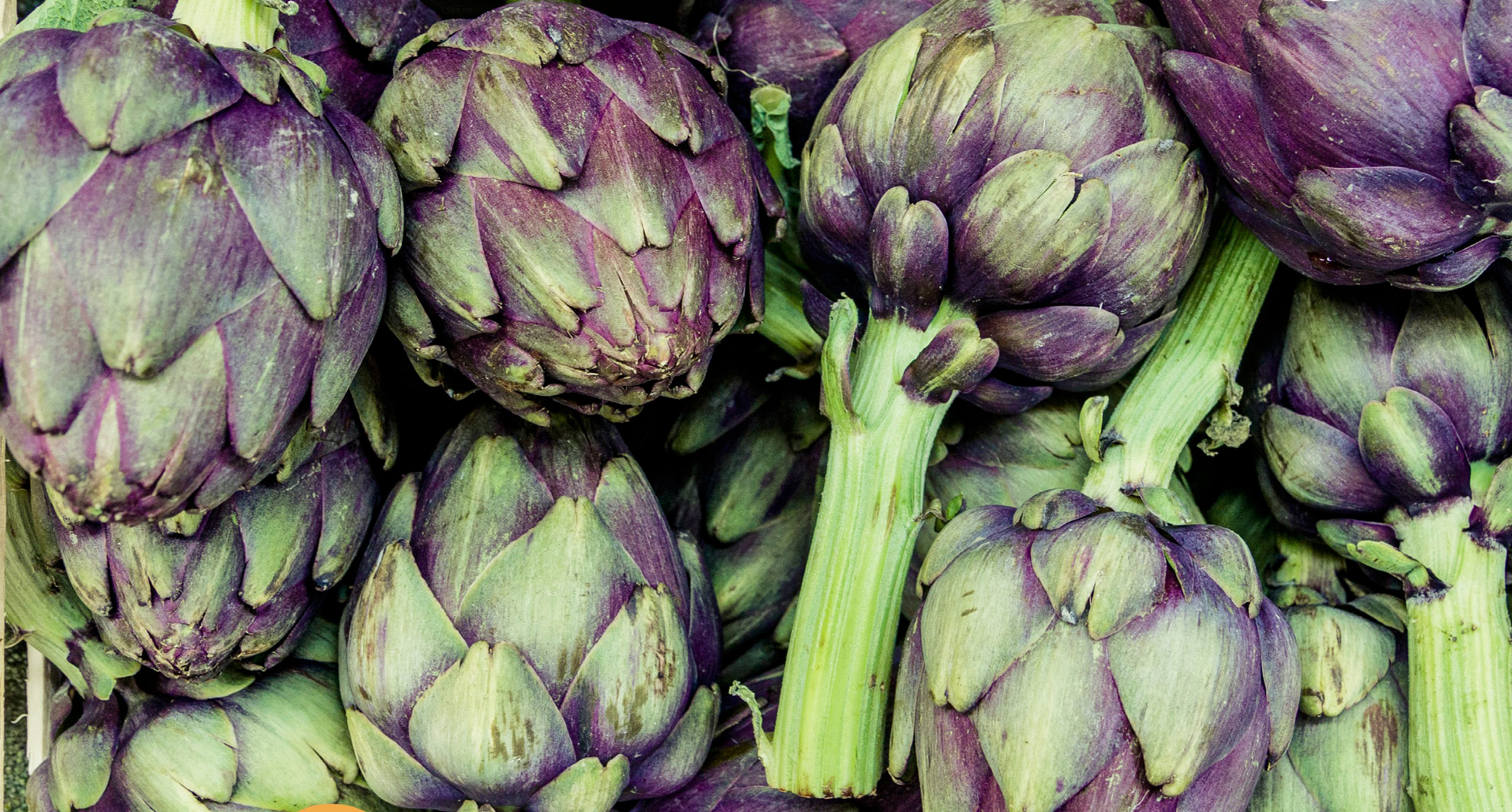 Farm Viability | Center for Agriculture and Food Systems