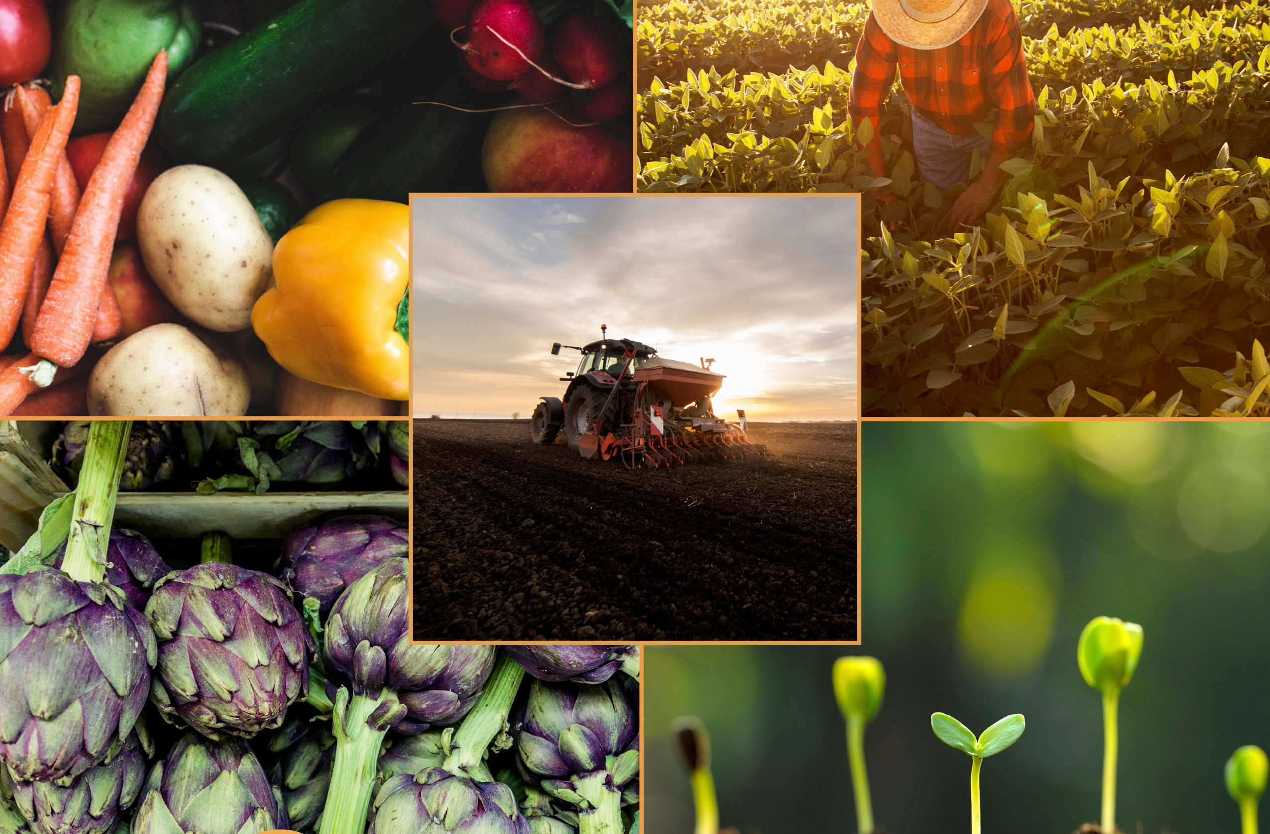 2023 Farm Bill | Center for Agriculture and Food Systems