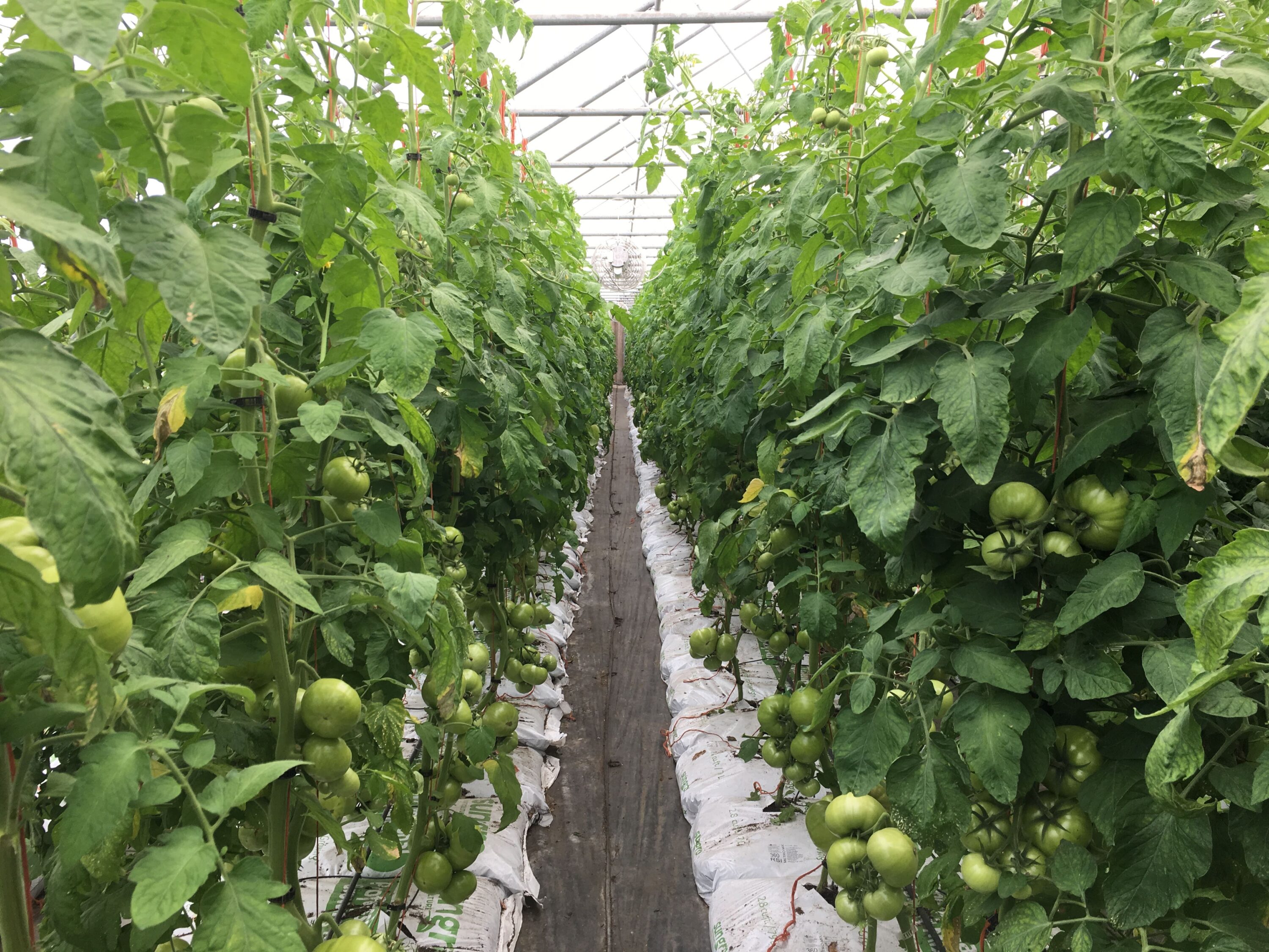 FDA Tech Assistance Network | Center for Ag & Food Systems